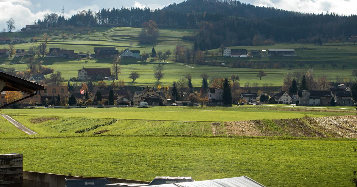 L’impatto della mobilità elettrica in Svizzera: aria pulita, meno ...